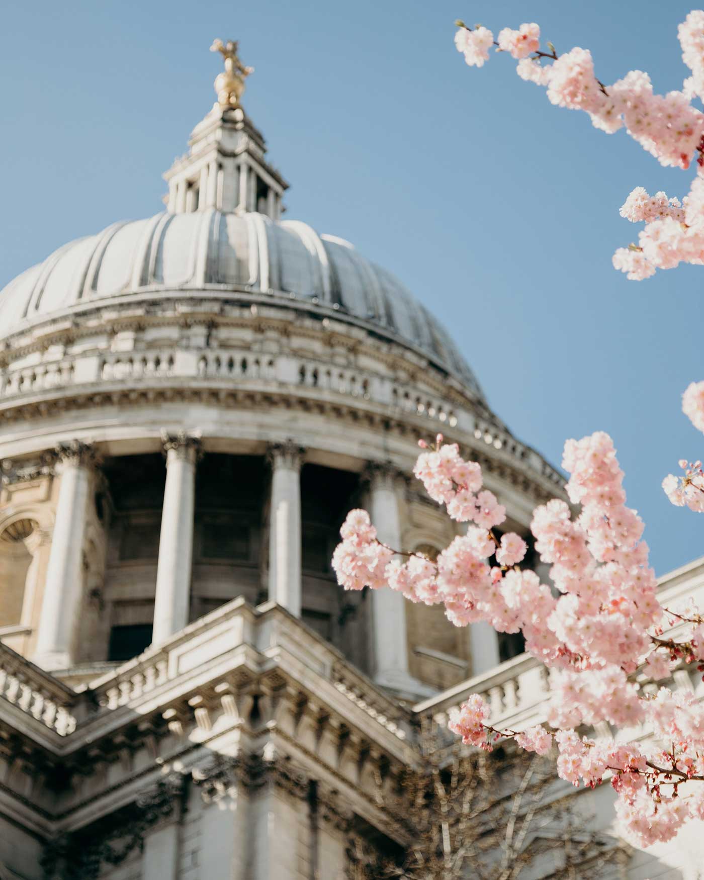 Classical Architecture Is Taking Over Modernism And Here's Why